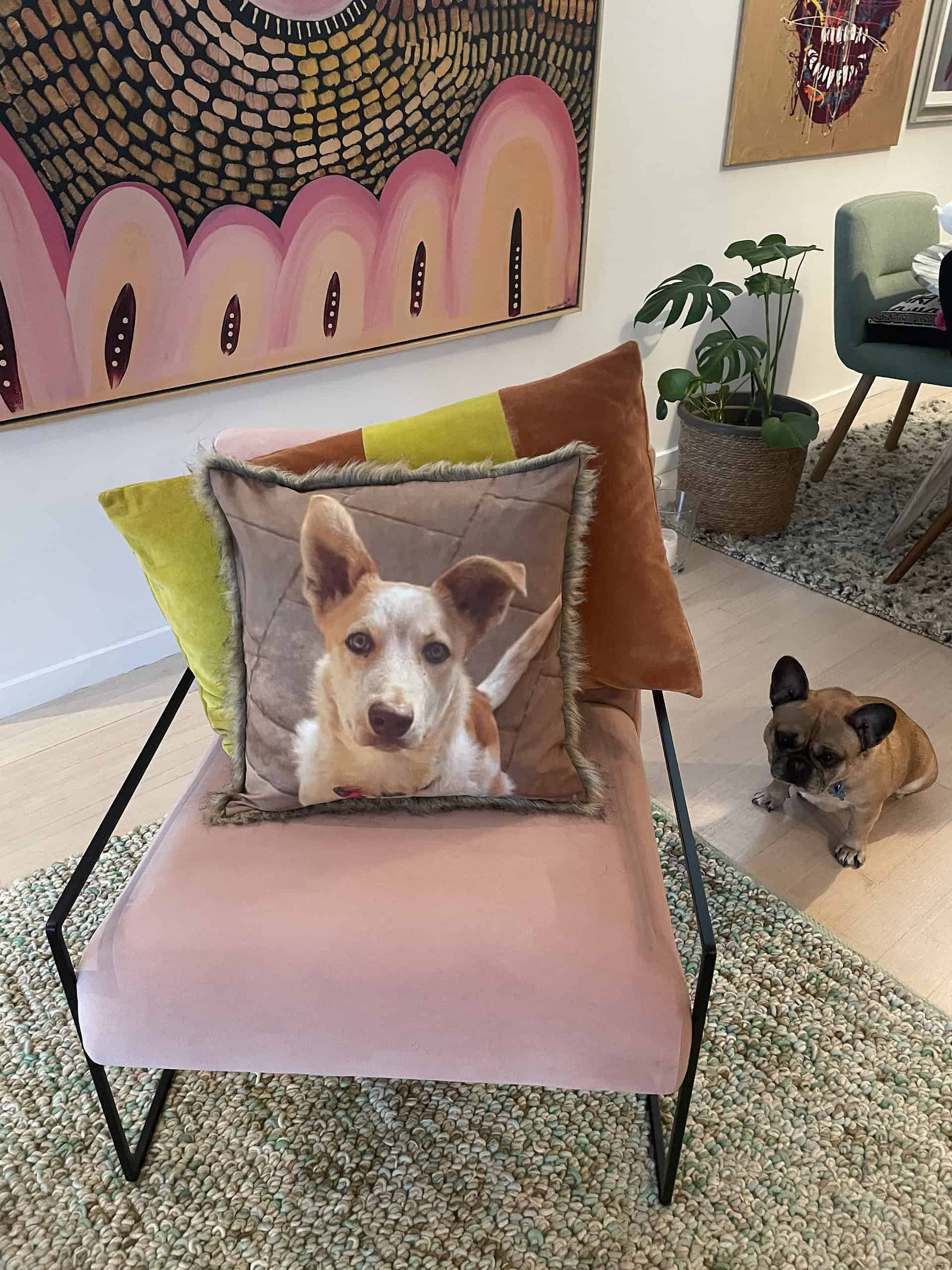 Dog Memorial Ideas | Photo Pillows to snuggle forever more